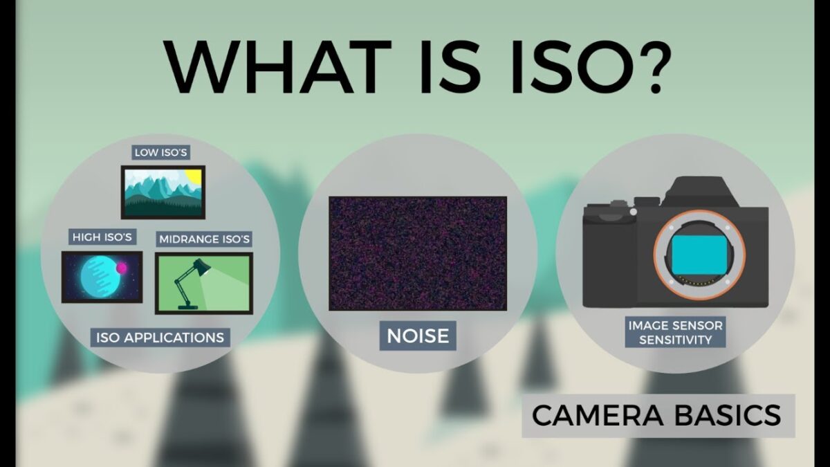 What Is ISO On A Camera? A Beginner’s Guide To Better Photos - Photomarquises.com